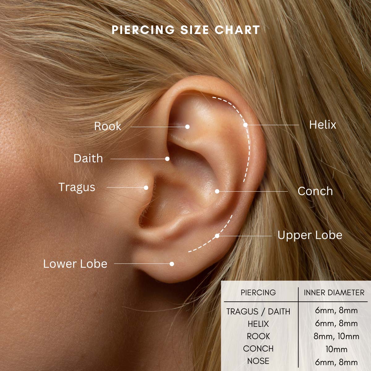 14K Gold Seamless Earring | Helix, Tragus, Daith, Cartilage Nose – AMYO ...